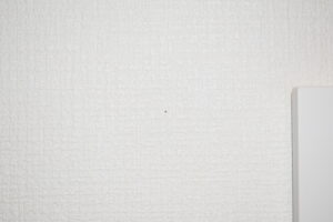 既存のインターホンにワイヤレス呼出システム（FW-TR／アイホン）追加設置 - Kazu Life 117